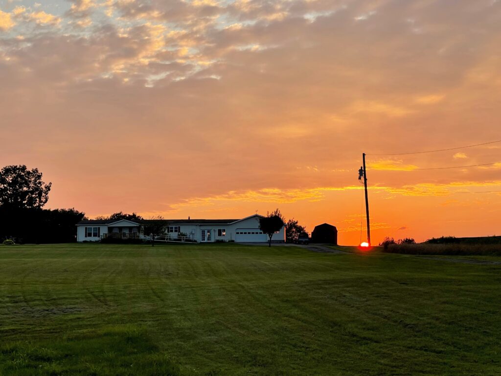 Just In the Nick of Time – Christina Vandergrift